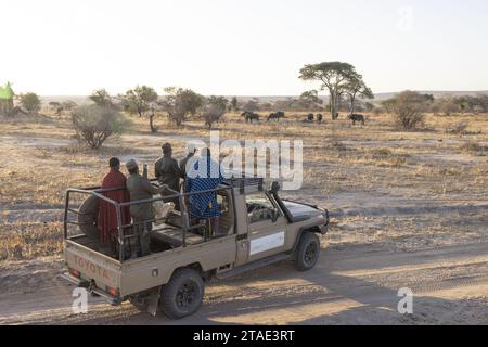 Tanzania, Randilen WMA (wildlife management area), Monduli district ...