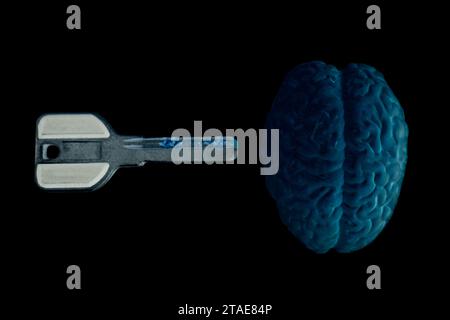 Human brain anatomical model with key isolated on white background ...