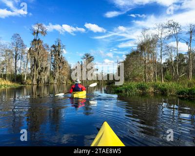 Active seniors kayaking in Okefenokee swamp, North America's largest ...