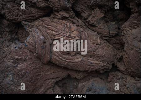 Volcan del Cuervo (Crow volcano) a crater explored by a loop trail in a ...