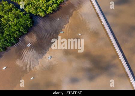 France, French Guiana, Roura, aerial view of the Mahury river spanned ...