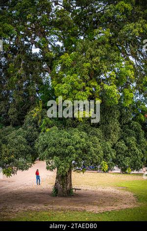 The Transportation Camp in Saint-Laurent-du-Maroni, French Guiana, a ...