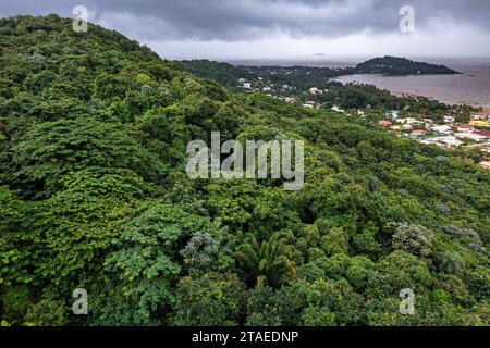 France, Guiana, Rémire-Montjoly, Walking along the path of the Loyola ...