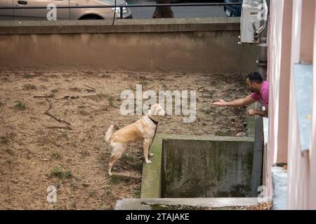 The owner feeding his dog from apartment window Stock Photo - Alamy