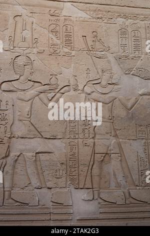 "Decoding the secrets of ancient Egypt through intricate hieroglyphics ...