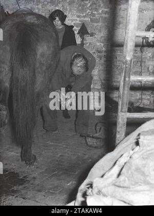 1970s, historical, inside a stables, a farrier shoeing a horse, England ...