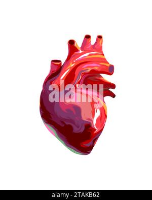 Line drawing illustration of human heart anatomy showing the two upper ...