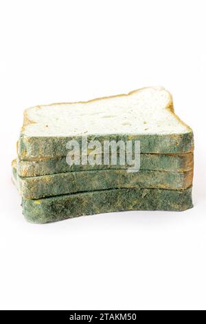 Wasted bread isolated on white. Biodegradable food waste concept. food ...