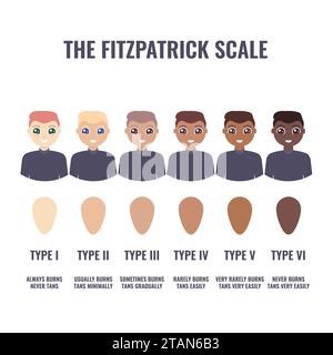 Fitzpatrick skin type classification, illustration Stock Photo - Alamy