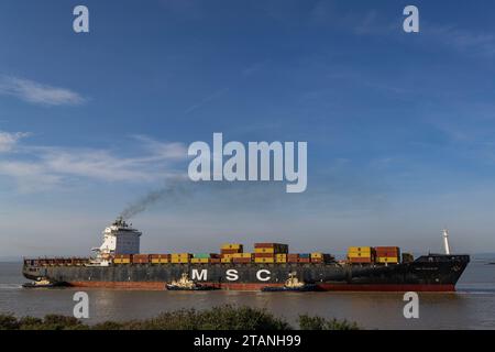 Container vessel MSC Magnum VII surrounded by tugs Stock Photo - Alamy