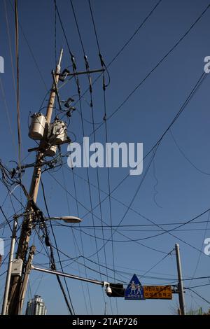 Electric grid in South Korea. Concrete utility poles in Busan city ...