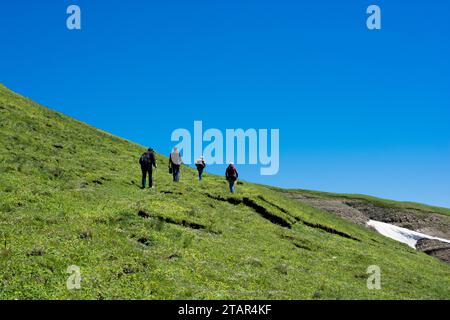 Friends taking an excursion on a mountain Stock Photo - Alamy