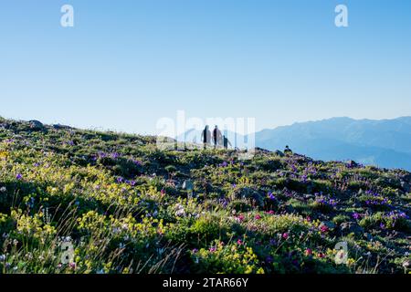 Friends taking an excursion on a mountain Stock Photo - Alamy