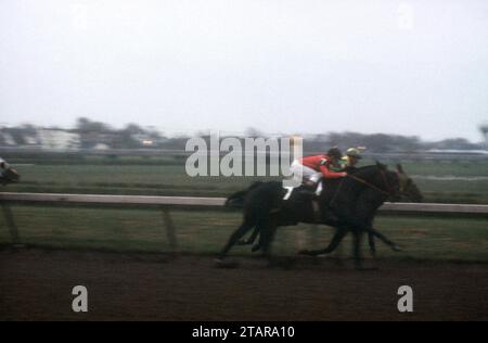 NEW YORK, NY - OCTOBER 1: Jockey Eddie Arcaro aboard Sword Dancer #9 ...