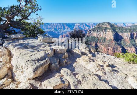 The stunning views of Bright Angel Point at the Grand Canyon North Rim ...