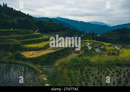 Terrace Field in Jiabang Guizhou Stock Photo - Alamy