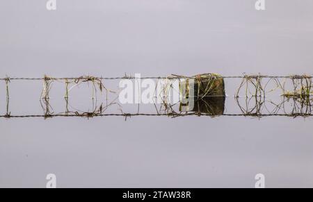 Field boundary fence submerged almost to the top after heavy rain and ...