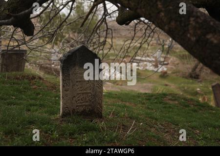 Graveyard in a green environment, with an Arabic sentence written on ...