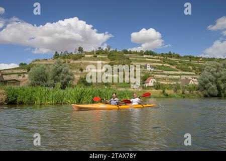 vineyards at Freyburg an der Unstrut, Saxony-Anhalt, Germany Stock ...