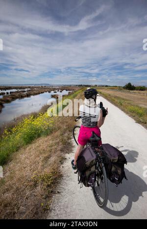 Female cyclist cycling the Napier to Cape Kidnappers cycle trail, North ...
