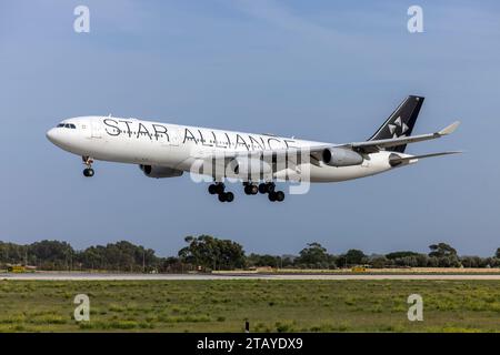 Star Alliance (Lufthansa) Airbus A340-313 (REG: D-AIGW) arriving in ...