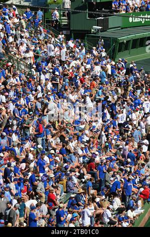 Chicago, Illinois, USA. Fans in the bleachers at Wrigley Field, home of ...