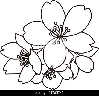 Cherry blossom one line drawing vector illustration Stock Vector Image ...