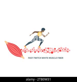 Fast twitch white muscle fiber type illustration Stock Vector Image ...