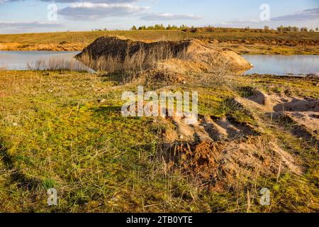 Landscape of an overgrown sand quarry with green moss Stock Photo - Alamy