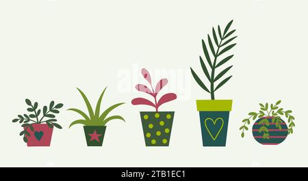 Selection of house plants in decorative plant pots.Different shaped ...