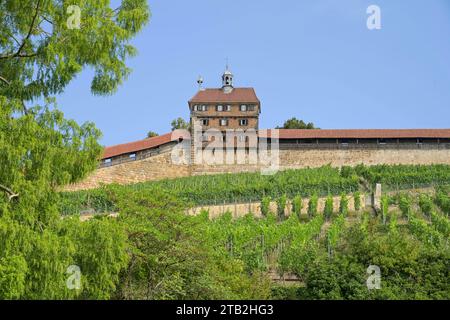 Stadtmauer, Esslinger Burg, Esslingen, Baden-Württemberg, Deutschland ...