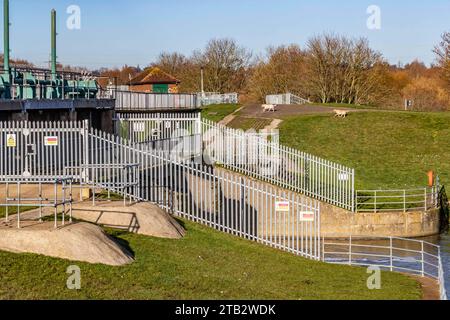 Sluice Gate, over the river Nene, which Is a type of lock to manage the ...