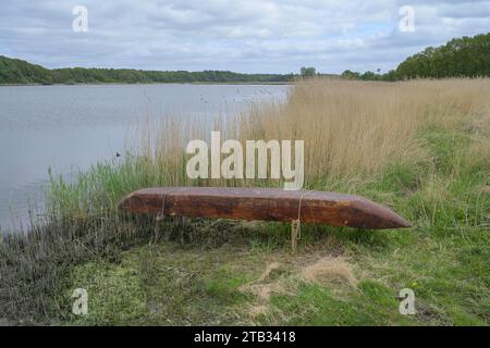 Historisches Boot, Schlei, Wikinger Museum Haithabu, Schleswig ...