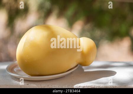 Apulian cheese caciocavallo on plate with blurred nature background ...