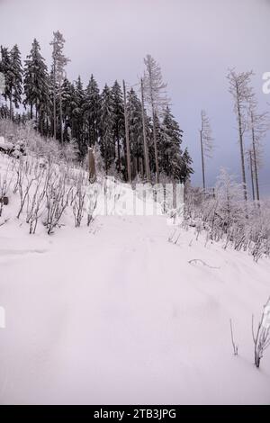 Short winter hike through deep snow in the Thuringian Forest near ...