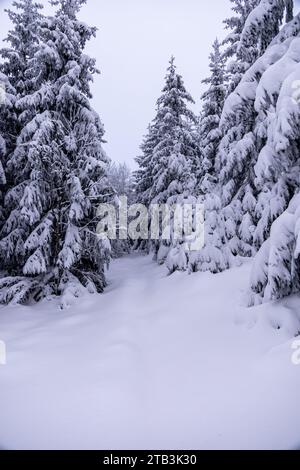 Short winter hike through deep snow in the Thuringian Forest near ...