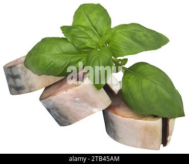 Atlantic mackerel with fresh basil leaves Stock Photo - Alamy
