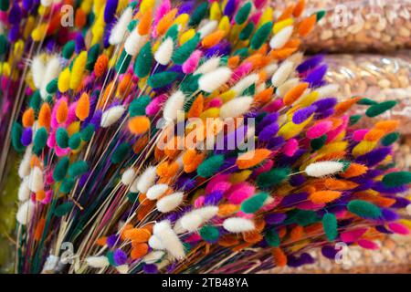 dyed dry colorful flower for doceration purposes Stock Photo - Alamy