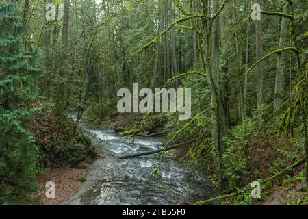 Whatcom Falls, Bellingham, Washington, USA. Long exposure of a ...