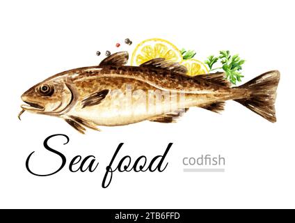 Fresh fish cod. Hand drawn watercolor illustration, isolated on white ...