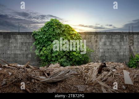 Rubbish on the ground. Illegally throwing garbage Stock Photo - Alamy
