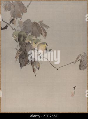 Watanabe Seitei Birds on a Branch Stock Photo - Alamy