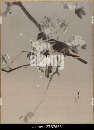 Watanabe Seitei Bird on a Flowering Branch Stock Photo - Alamy