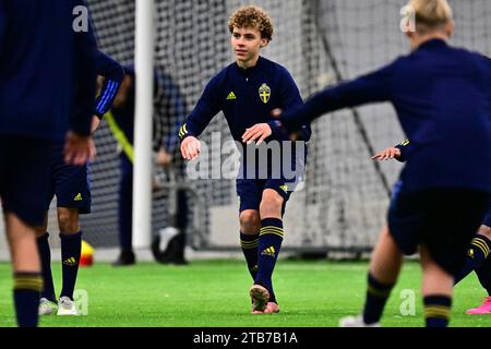 Zlatan Ibrahimovic's son, Vincent Seger Ibrahimovic during the National ...