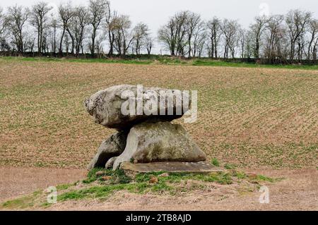 The Devil's Den, the remains of a neolithic burial chamber or dolmen at ...