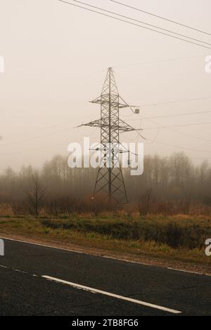 Large electrical distribution power lines and support poles Stock Photo ...