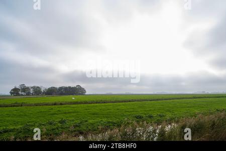 Fields outside of Ternaard, the Netherlands Stock Photo - Alamy