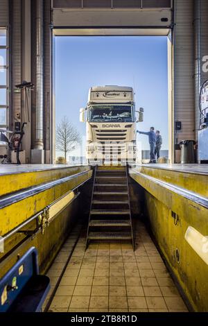 Garage, repair shop for heavy goods vehicles: mechanic in the ...