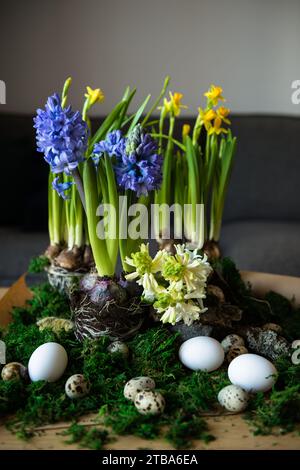 Simple table setting and hyacinth flowers on pink background Stock ...