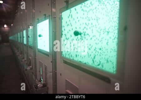 Northern Europe's largest insect factory - Enorm Biofactory, which will ...